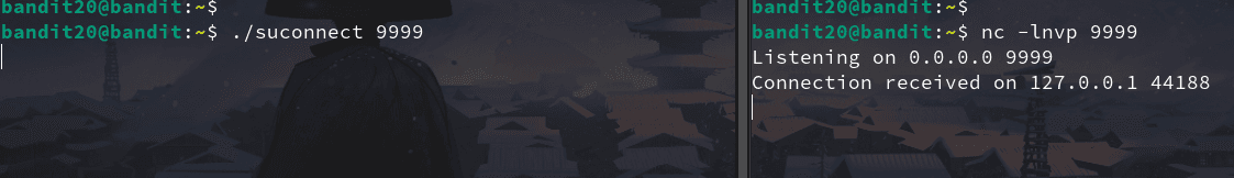 OverTheWire - Bandit All levels (Solved) | TCT Blogs